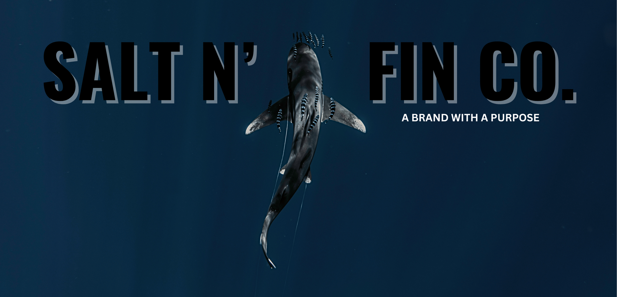 Save The Sharks – Salt N' Fin Co.
