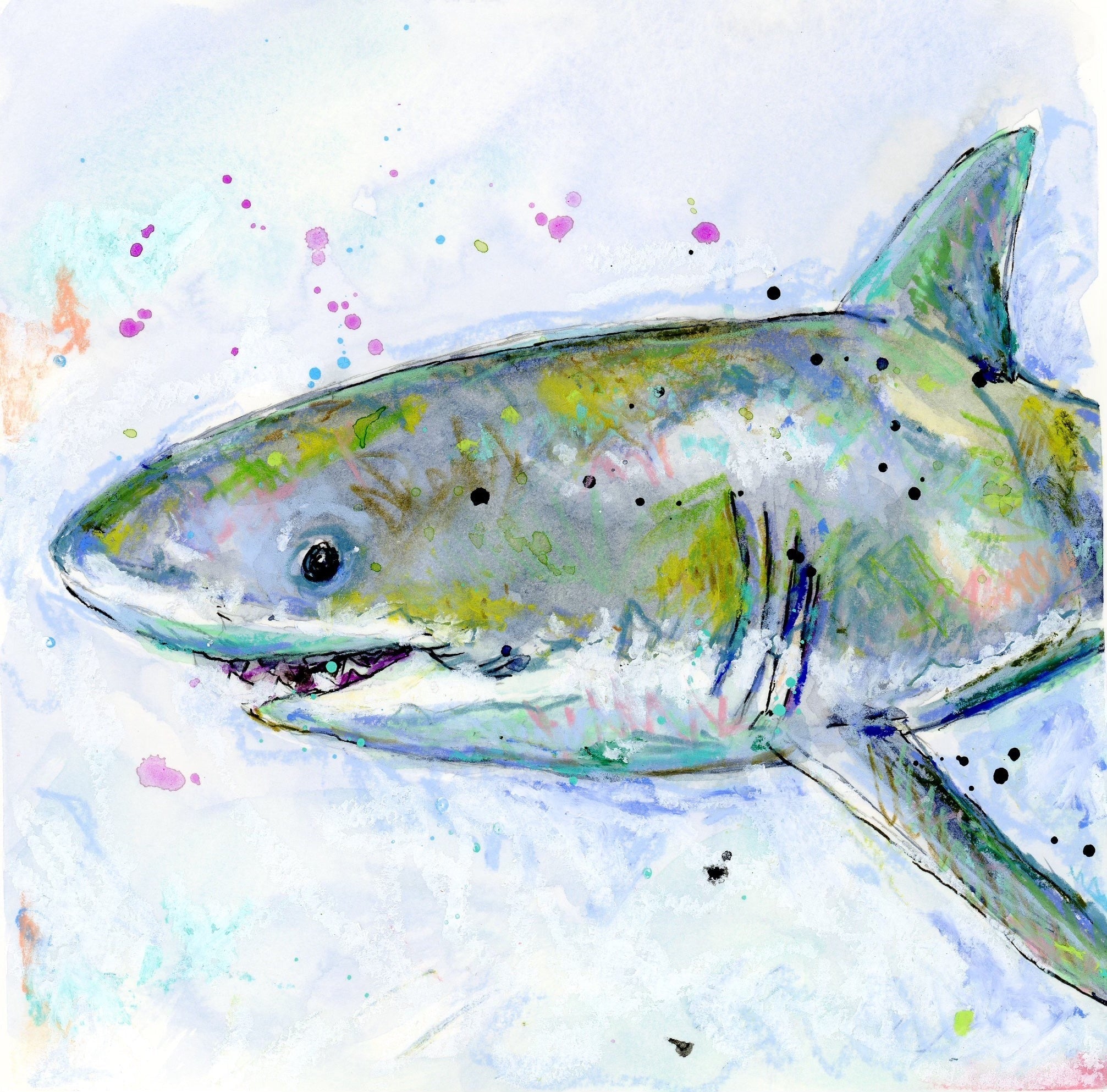 Great White Shark Print – Salt N' Fin Co.