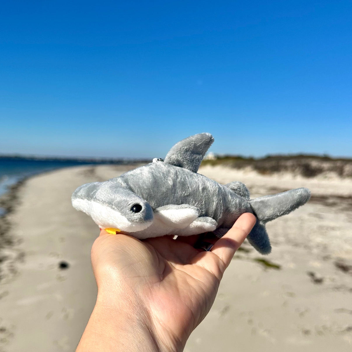 Hammerhead Shark Plush Keychain – Salt N' Fin Co.