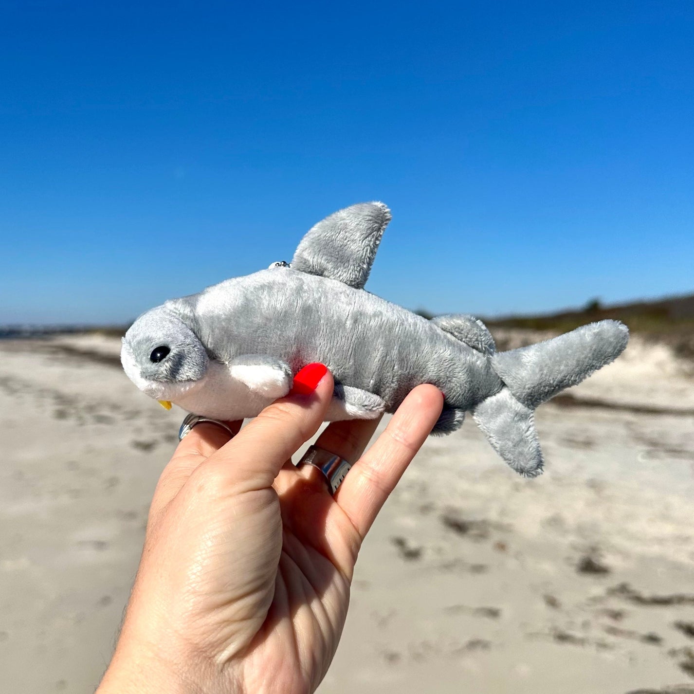 Hammerhead Shark Plush Keychain – Salt N' Fin Co.