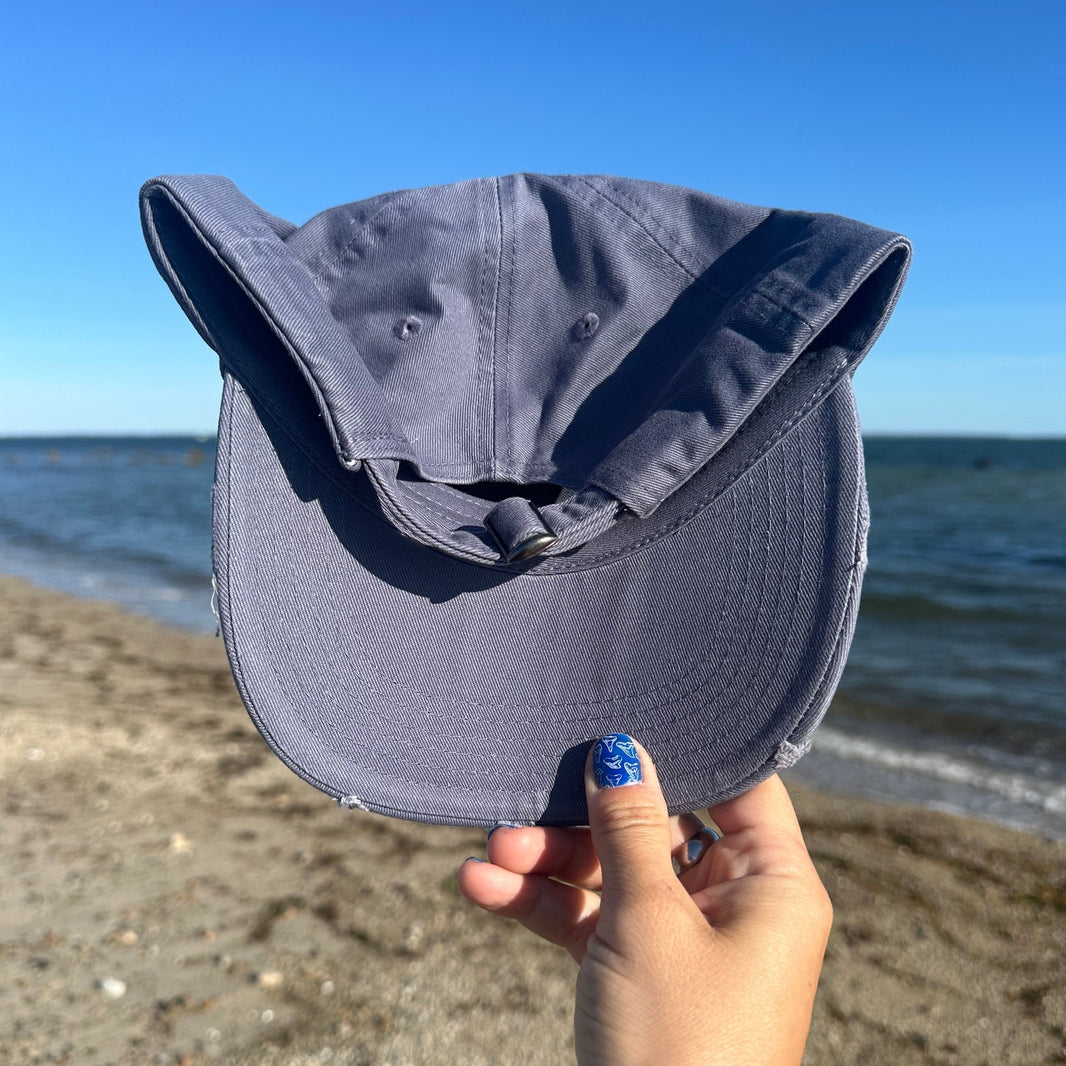 Hammerhead Shark Collection – Salt N' Fin Co.