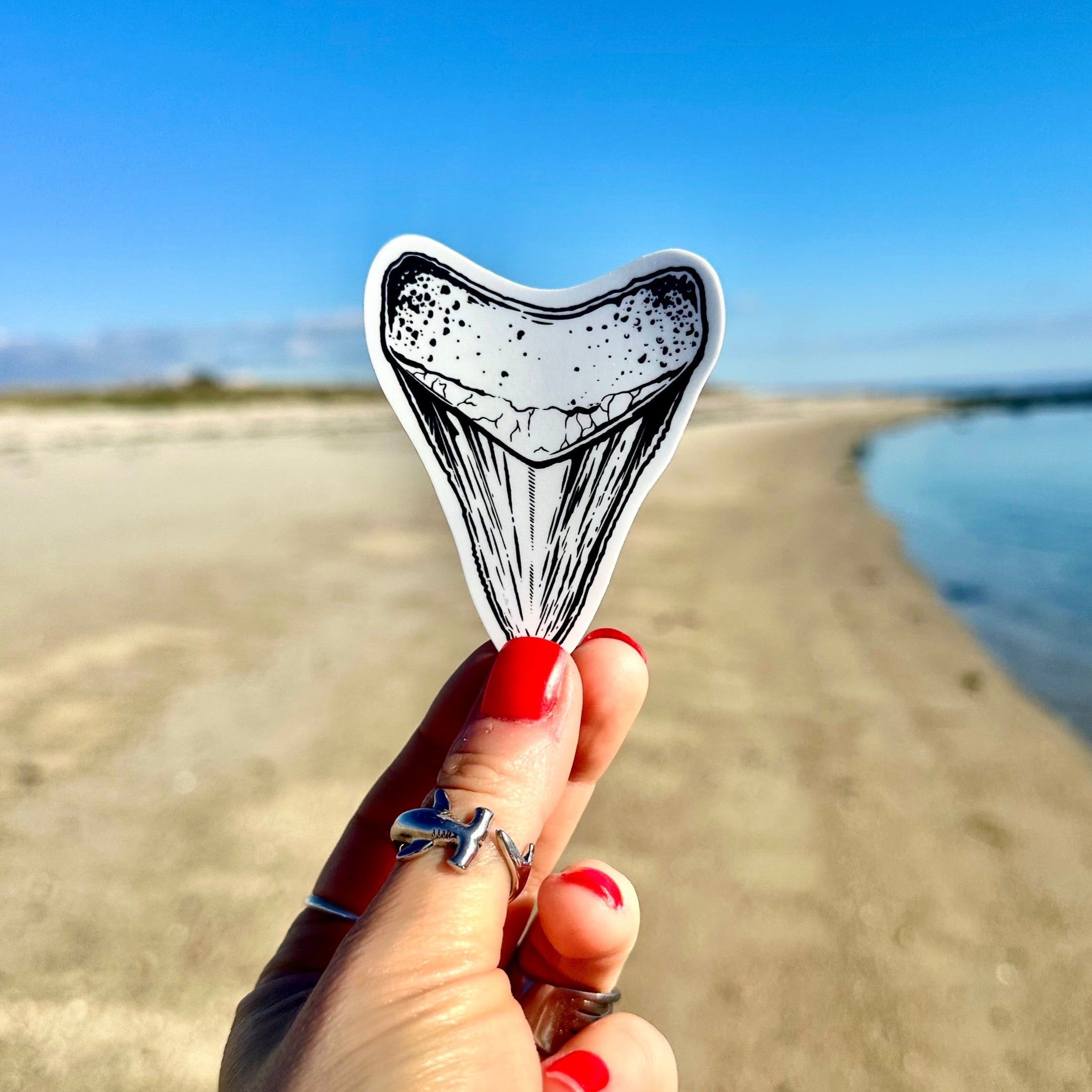 Save The Sharks – Salt N' Fin Co.