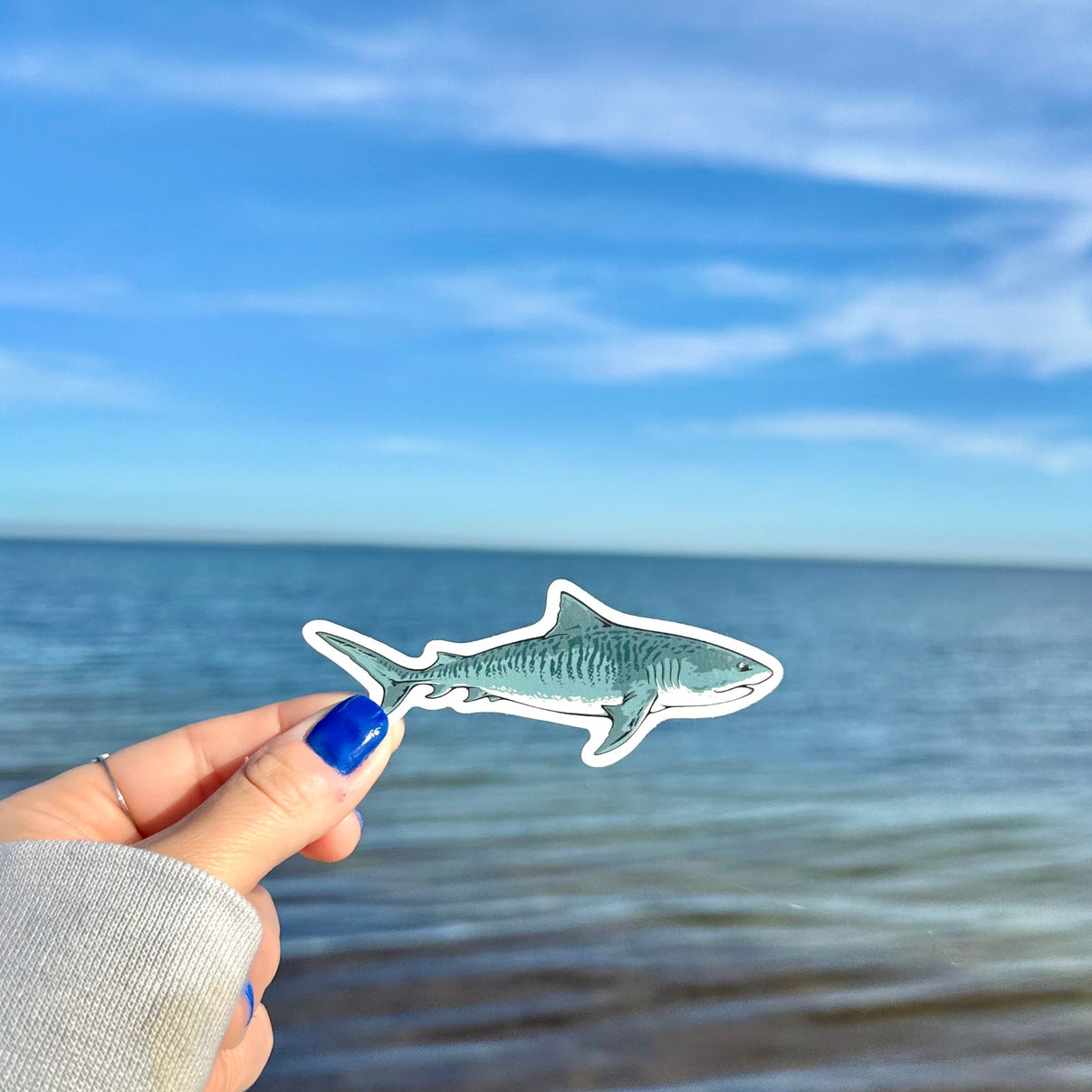 Tiger Shark Sticker – Salt N' Fin Co.