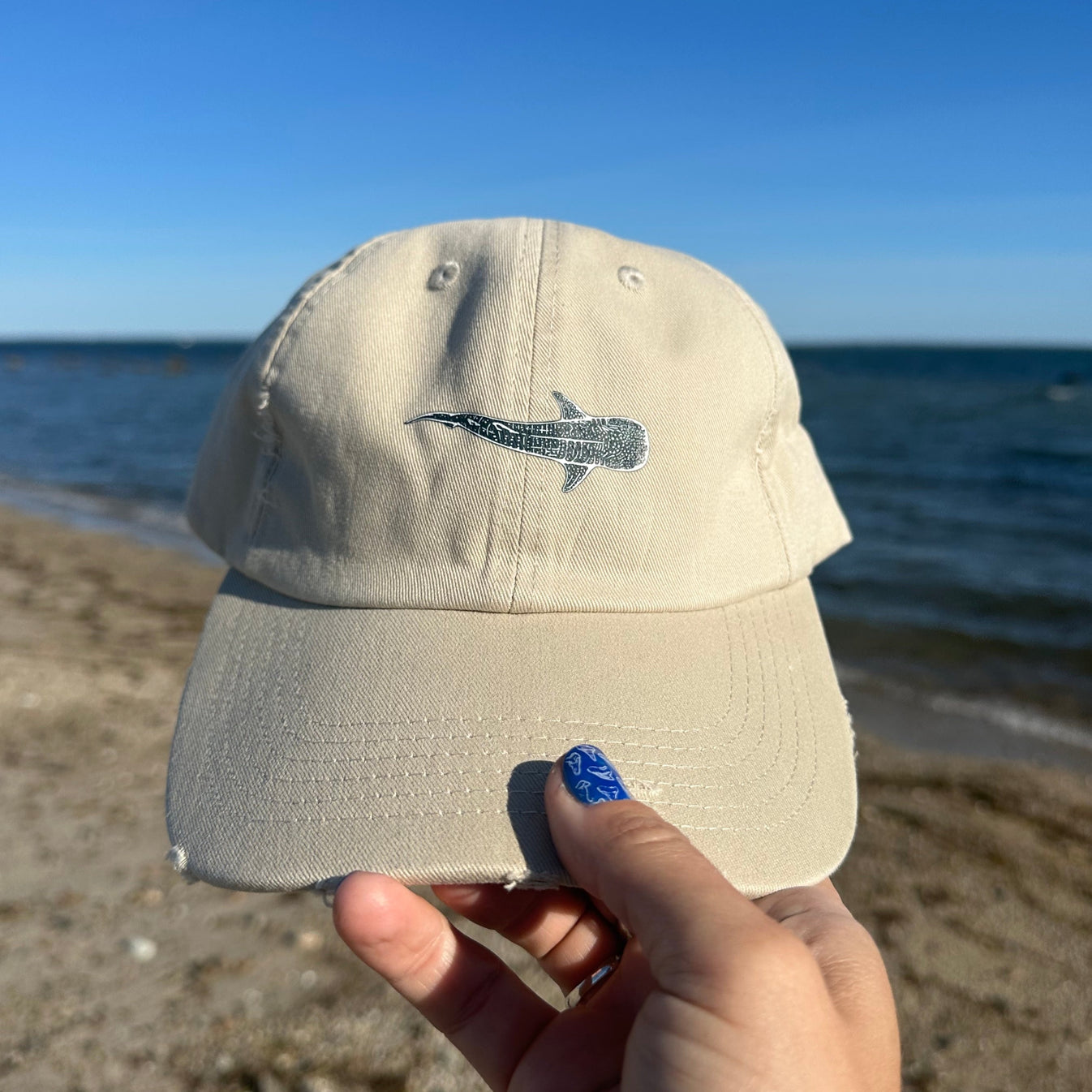Whale Shark Hat – Salt N' Fin Co.